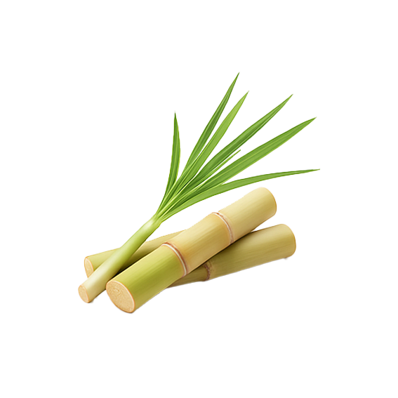 Nouka โนคะ เทคโนการเกษตร – นวัตกรรมทางการเกษตร ที่จะนำพาเกษตรกร ไปได้ ...